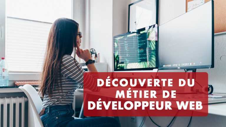 Présentation formation "Développeur Web" - Aflokkat
